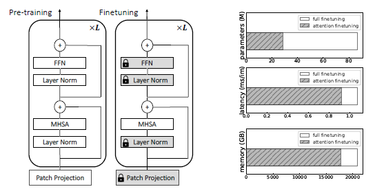 Review — Hmlp Three Things Everyone Should Know About Vision Transformers By Sik Ho Tsang