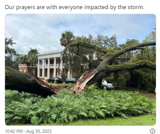 Tree falls on Ron DeSantis’s mansion with his family inside as ...