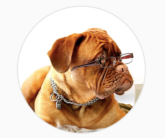 How to make a rectangle image a circle in CSS | by Bianca Power | Medium