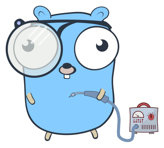 Intermediate to Advanced Concepts in Go Types | by Kushal Ausula | Medium