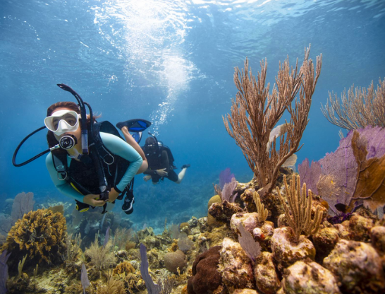 Bali Scuba Diving Course | Diveculturebali.com - Dive Culture Bali - Medium