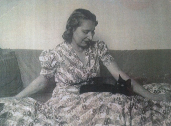 I Never Got A Cat. Cats are greatly to be respected. For… | by Abigail ...