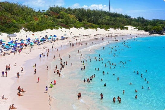 Explore The Bermuda Pink Sand Beaches Nature Wonder - Exclusive ...