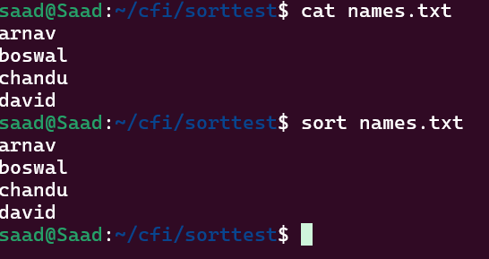 Linux Command-Line Essentials: From chmod to sort and Beyond | by Saad Hussain | Oct, 2024 | Medium