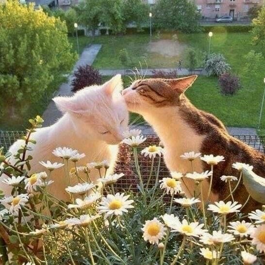What is love? - Flora novelist - Medium
