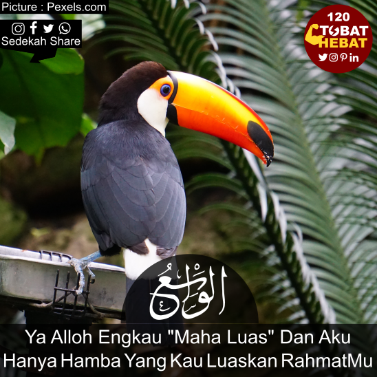 120 Ya Alloh Engkau “Maha Luas” Dan Aku Hanya Hamba Yang Kau Luasakan RahmatMu #Dakwah #Islam ...