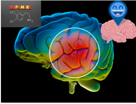 Dopamine: Brain’s Reward Messenger — 8 Best Natural Ways to Enhance it ...