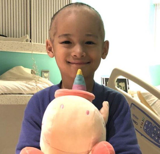 10 Myths and Facts About Bone Marrow Donation | by Donor4Lillian | Medium