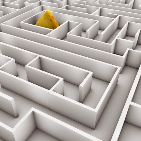 Navigating Life’s Maze of Change: Lessons from ‘Who Moved My Cheese? by ...