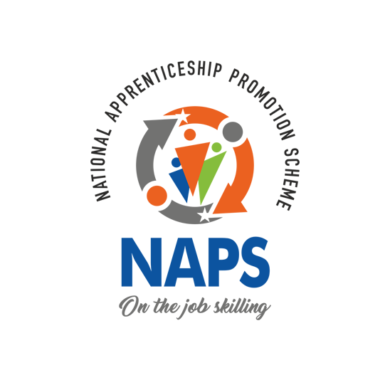 What is National Apprenticeship Promotion Scheme & its benefits? | by ...