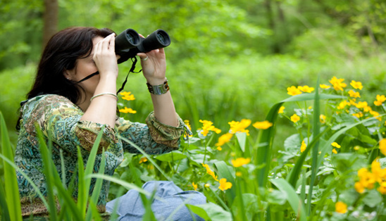 The importance of inspiration and steps for how to get inspired | by ...
