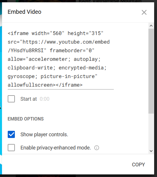 Youtube Subjacking. Click anywhere to continue and get… | by Jainamhs ...