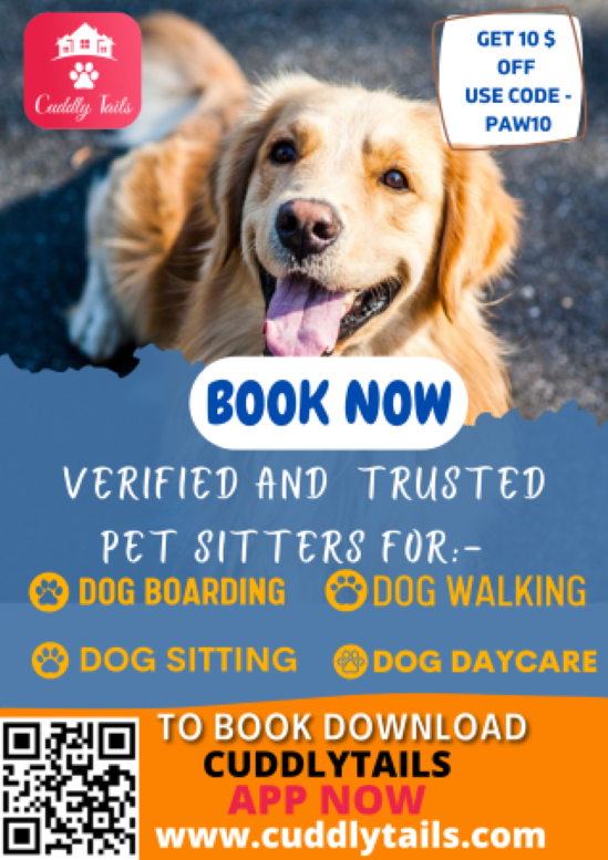 Book Luxurious Dog Sitting In San Jose, CA | CuddlyTails - Cuddlytails ...