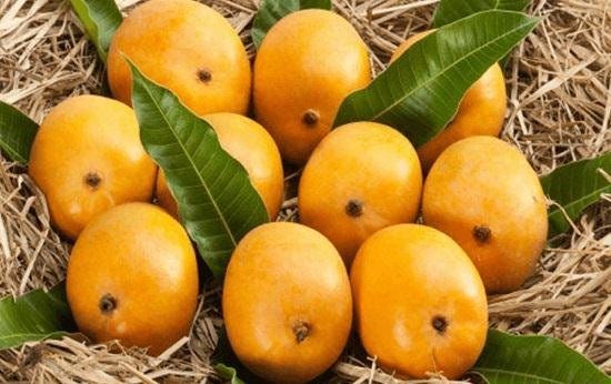 The Richness and Diversity of Mangoes: A Comprehensive Guide to ...