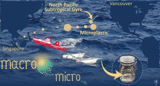 Plastic Everywhere and What It Means to Humans and Life on the Planet ...