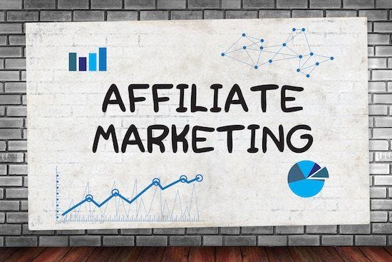 How to Become a Professional Affiliate Marketer: A Step-by-Step Guide ...