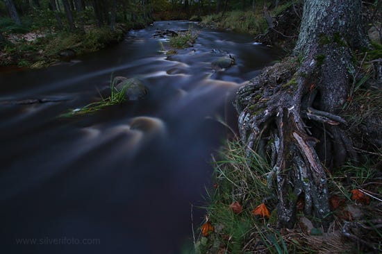 Welcome to Estonia | by Silver Hage | 2009–2011 Silver Hage blogi ...