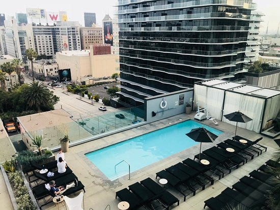 Kimpton Everly Hotel Reviews: The Ultimate 2024 Guide for a Luxurious ...
