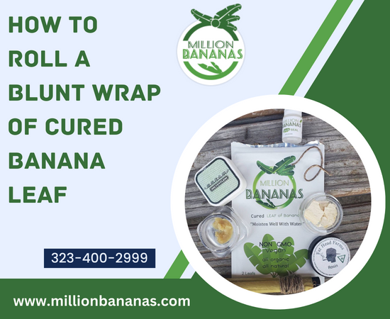 How To Roll A Blunt Wrap Of Cured Banana Leaf? | by Julia Robert | Medium