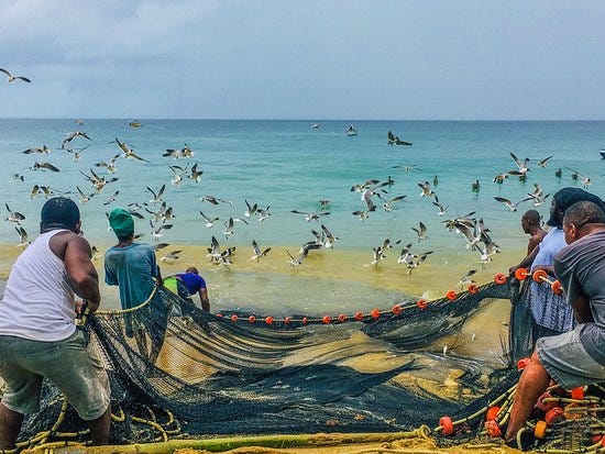 Landing The Big One: A Seine Fishing Guide To Leadership Mastery | by ...