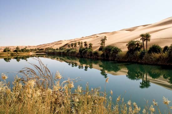 Can an oasis be more than a mirage? | by Damien Grey | Medium