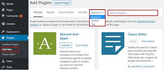 Understanding the Basics of WordPress Plugins: A Beginner’s Guide | by ...