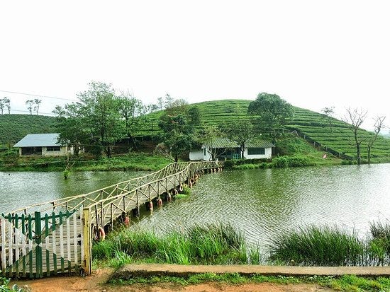 Places to visit in vagamon. The walnut valley filled with… | by Vagamon ...