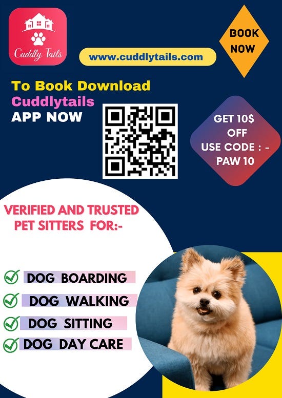 Dog Sitting Services with cuddlytails in Milwaukee, WI - Cuddlytails ...