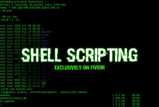 Shell Scripting: Getting started with shell scripting | by Tania Islam | Medium