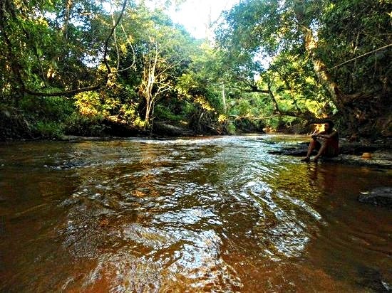 Ghana's Ancestral Slave River Park Always Connects To Emotions: Journey ...