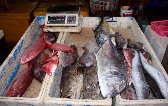 The only place I go for FRESH Seafood in Bali — No, It’s not Jimbaran ...