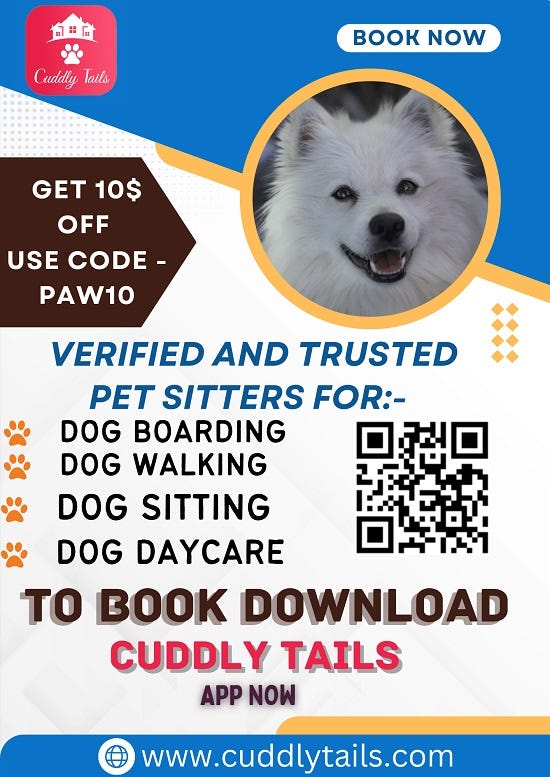 Houston, TX’s Premier Dog Walkers Service | Cuddlytails.com ...