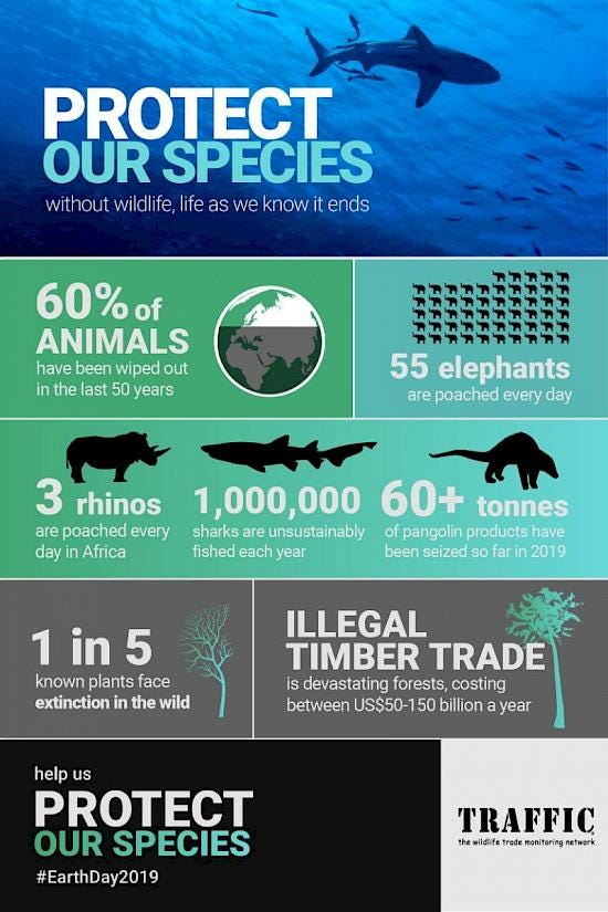 Sixth Mass Extinction. A month ago, I asked my friends whether… | by ...