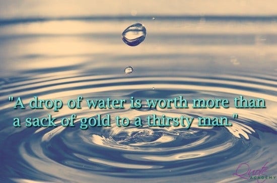 Water is a PRICELESS Treasure so Please Save It with Pleasure.” | by ...