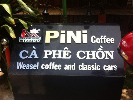 PiNi Coffee. 1001 reasons to be complimentary- You… | by PiNi Coffee ...