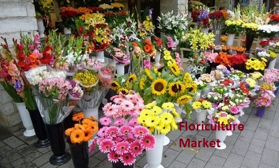 Floriculture Market Size, Strategic Analysis, Growth Drivers, Industry ...