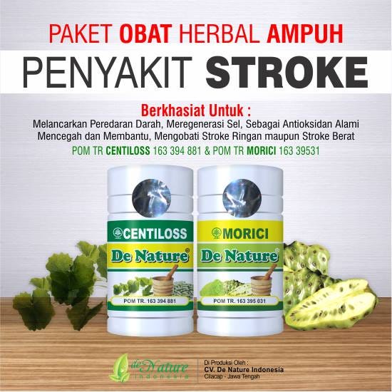 Obat Stroke Hemoragic. Pengertian Stroke | by denature nurhidayat | Medium