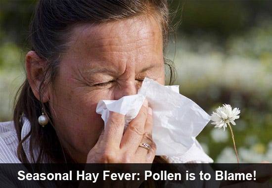 Seasonal Hay Fever: Pollen is to Blame! | by Robart | Medium