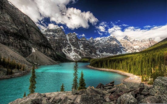 If you truly love Nature, you will find beauty everywhere… | by Khansa ...