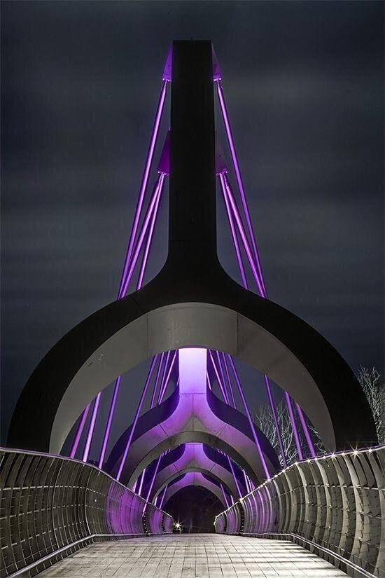 Fridge-Bridge. Nothing is cooler than purple on… | by Diem Jones ...