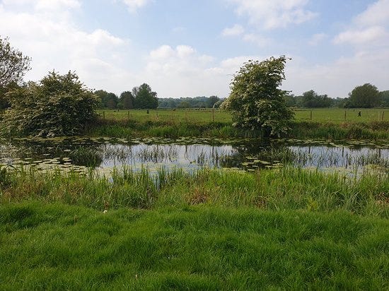 The Science of Water Meadows and Rural Ingenuity | by Yemarhaba 45 ...