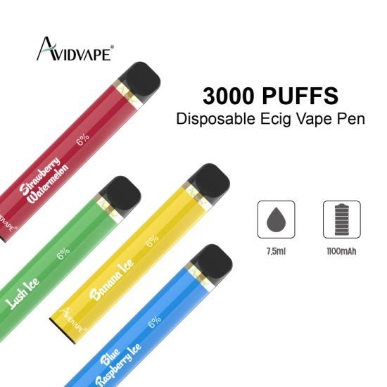 What Is The Meaning Of The Disposable Electronic Cigarette Vape? | by ...