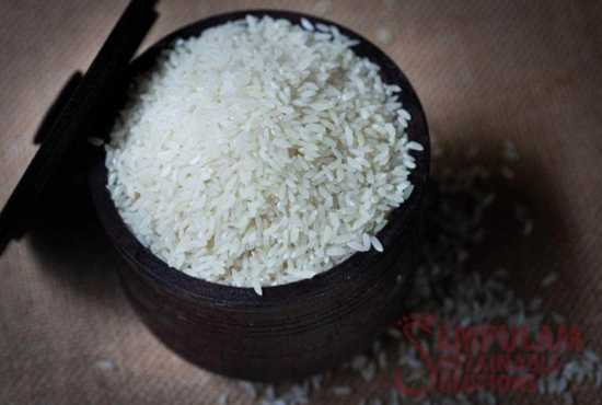 Kalanamak Rice : All You Need To know about Buddha Rice | by Marco ...
