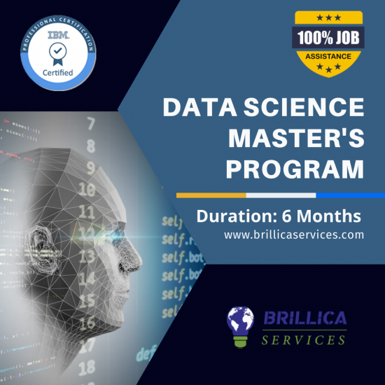 Master Data Science with Brillica Services — The Best Data Science Course in Delhi | by RAHUL ...