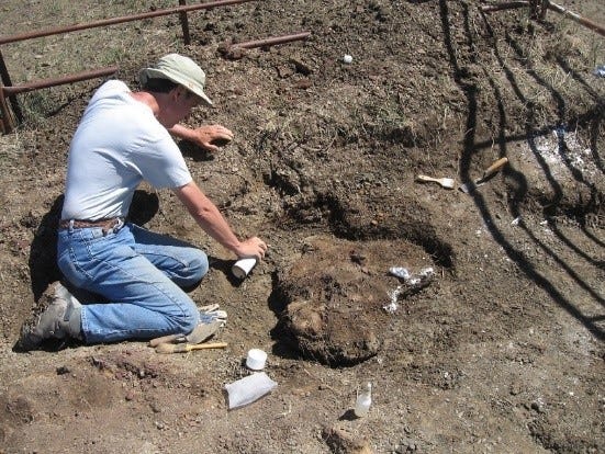 How 3D Printing is Used to Build Dinosaur Fossil Displays | by Titan ...