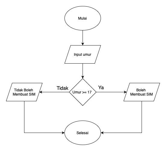 Kondisi di Python :Penggunaan Pernyataan Kondisi dalam Python | by ...