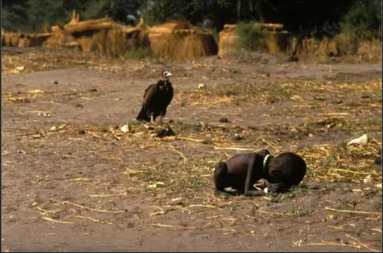 Kill or feed?. There is so much talk about hunger in… | by RSPP | May ...