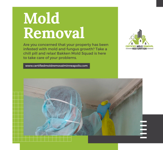What Are the Benefits of Mold Repair for Your Home? - Certified Mold ...