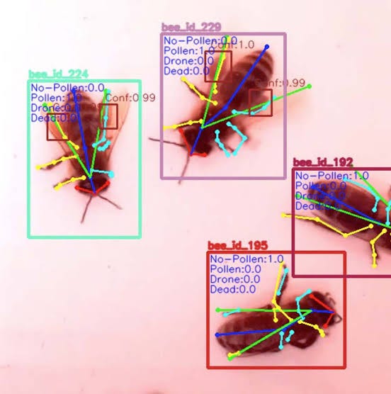 Convolutional Neural Networks Cnn Deep Learning Model By Chigoziem 9579
