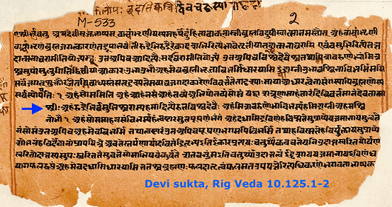 Vedas In Sanskrit